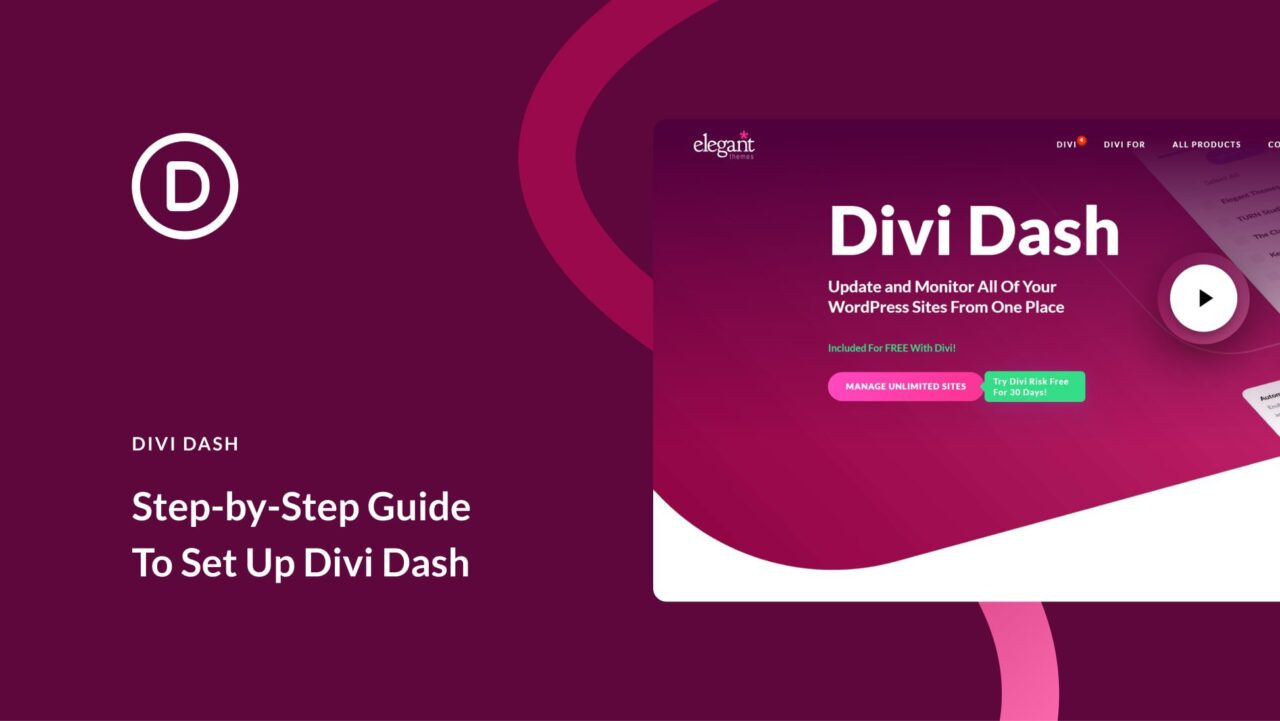 Step-by-Step Guide For Setting Up Divi Dash - WP Mountain